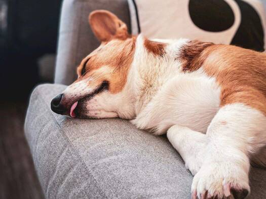 3 ⌂ Häuser mieten | Miethäuser in Bielefeld