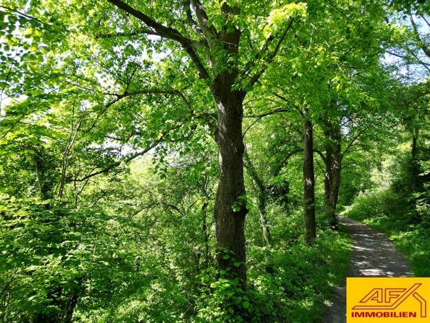 0 Freizeitgrundstücke kaufen in Ense Höingen