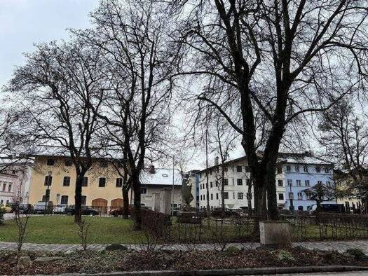 0 Stadthäuser kaufen in Trostberg Viehhausen