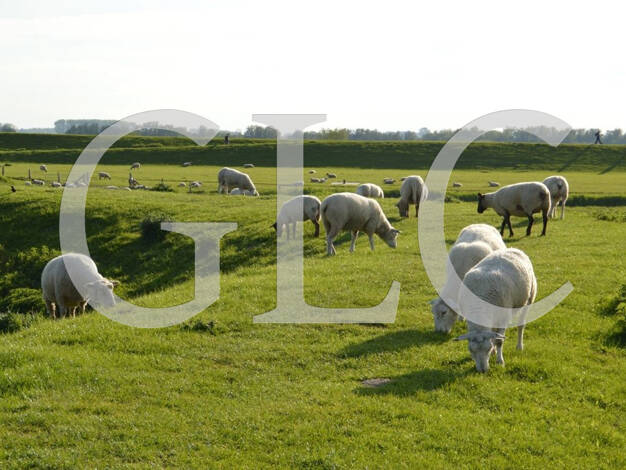 0 Freizeitgrundstücke kaufen in Balje Süderdeich