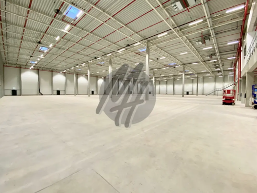 40 Immobilien mieten in Ibbenbüren, Steinfurt