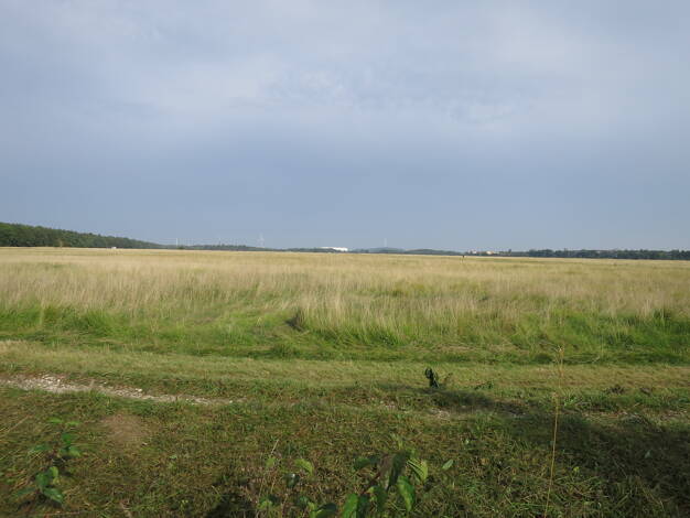 0 Wohnungen von privat kaufen in München Hasenbergl-Lerchenau Ost